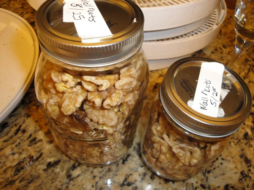 Sprouting WALNUTS | Pam's Tactical Kitchen